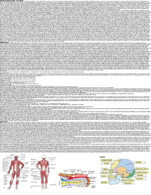 HBS 122: Makeup of Skeletal Muscle - Structure, Classification, and ...