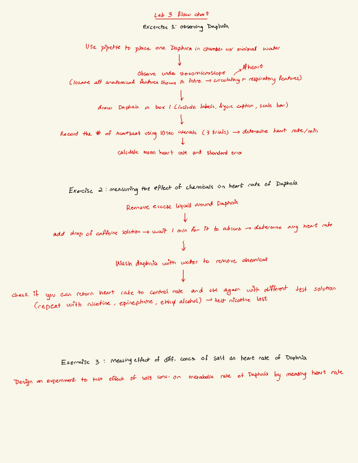 Lab Flow Chart: Daphnia Heart Rate Experiment (Lab 3) - Studocu
