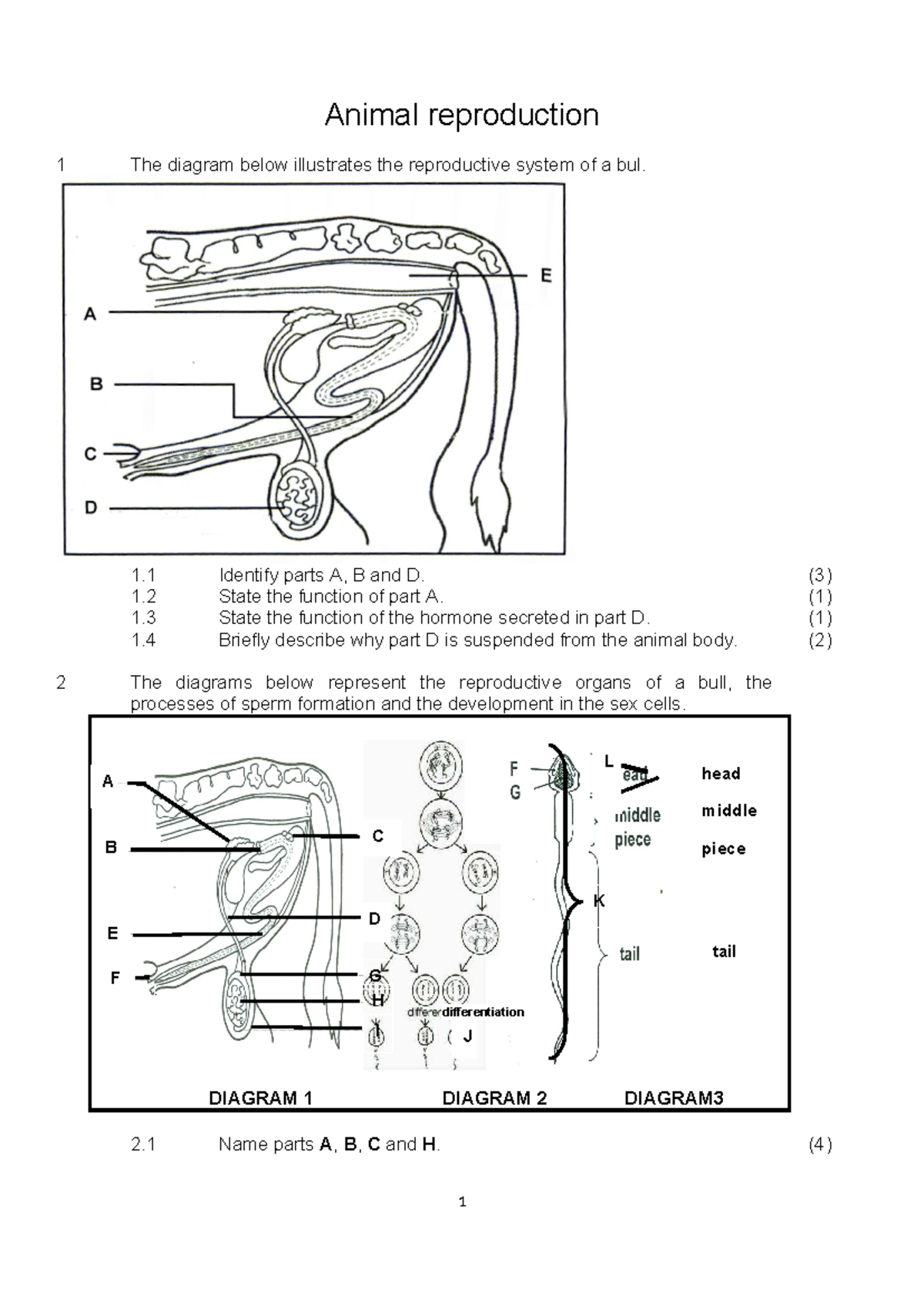Animal Reproduction Study Guide - BIO101 Final Exam - Studocu