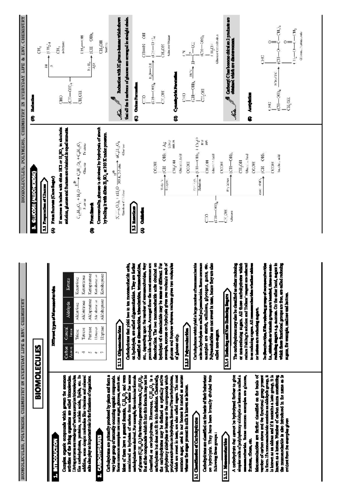 BIOMOLECULES, POLYMERS, AND CHEMISTRY IN EVERYDAY LIFE ENV. CHEMISTRY 3 ...