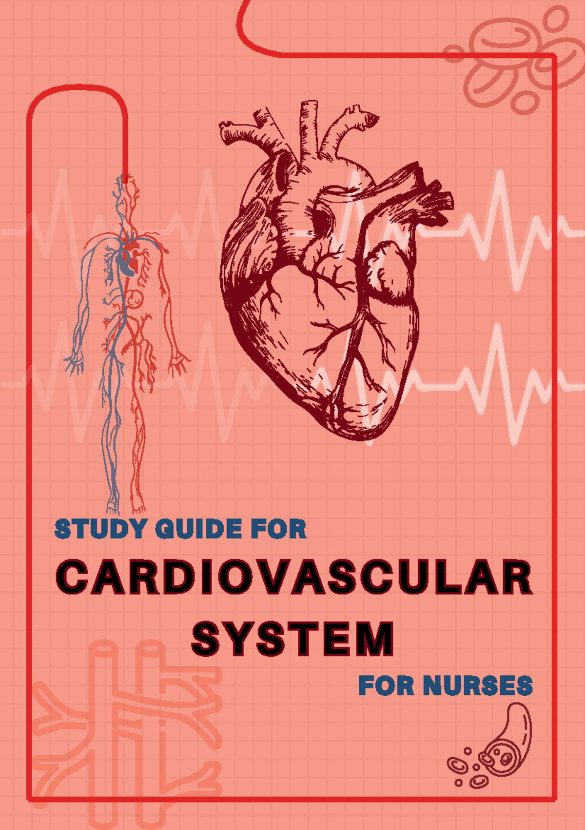 Cardiovascular System Study Guide for Nurses: Anatomy & Physiology ...