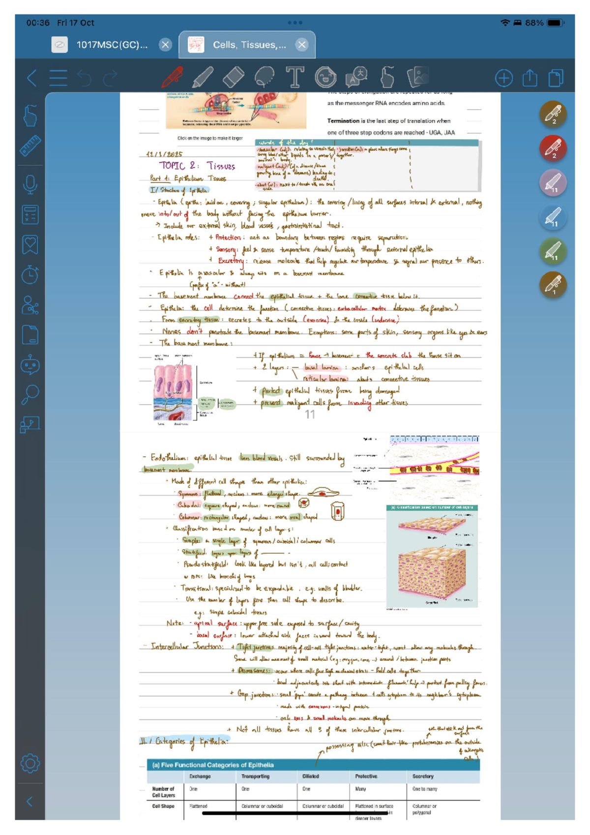 1017MSC(GC) Lecture Notes: Cells and Tissues Overview - Studocu