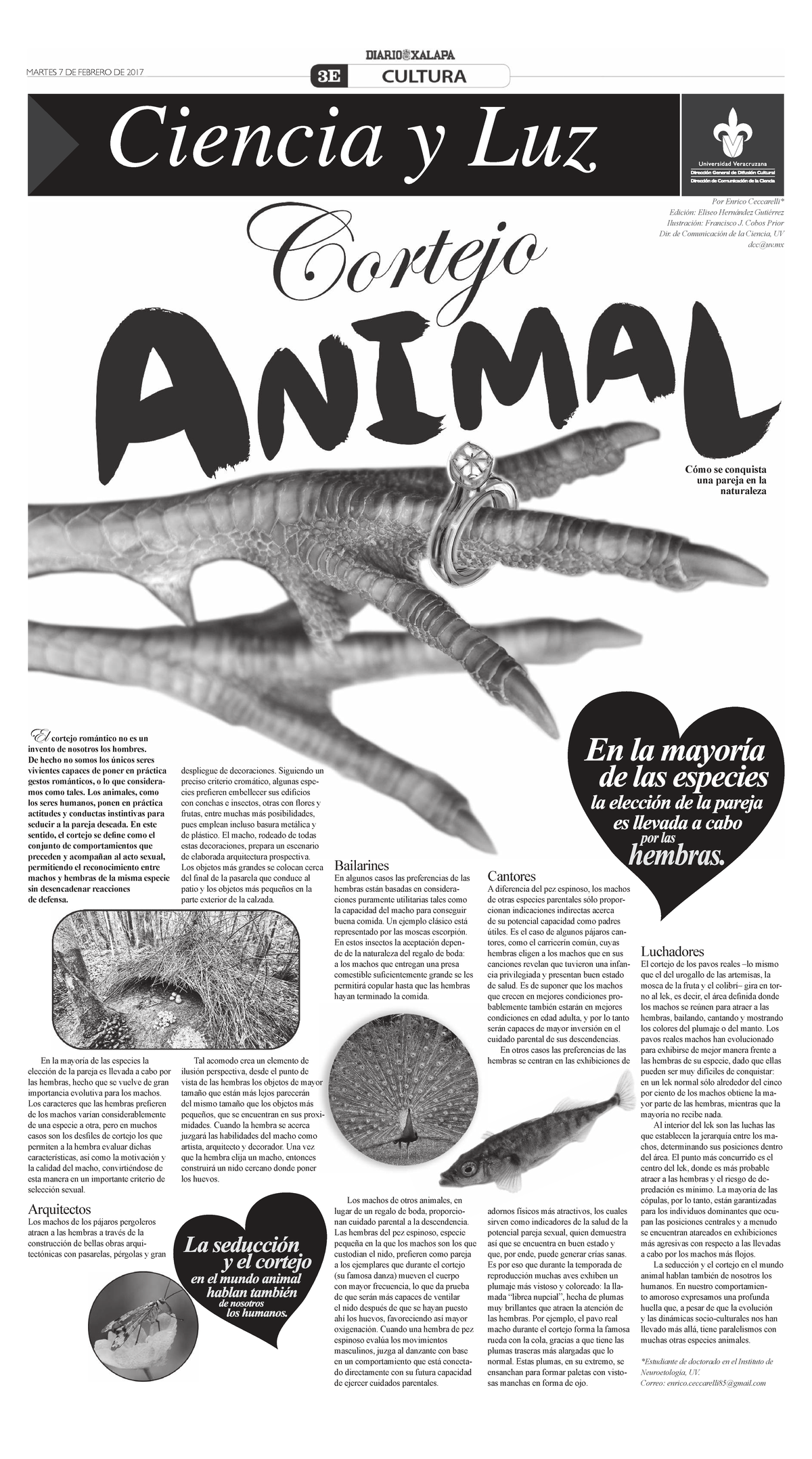 Cortejo Animal: Comportamientos de Seducción en la Naturaleza (005 CYL ...