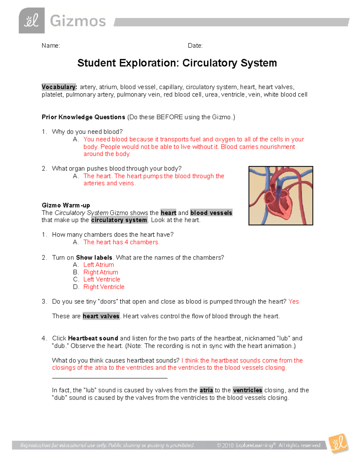 Copy of Circulatory System Gizmo - Name: Date: Student Exploration ...