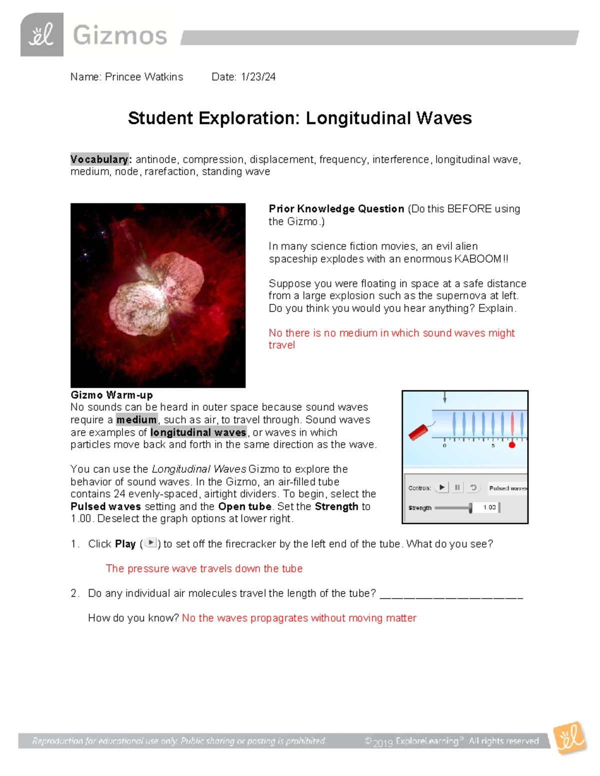 Simple Harmonic Motion Lab Instructions (05 01) - Studocu