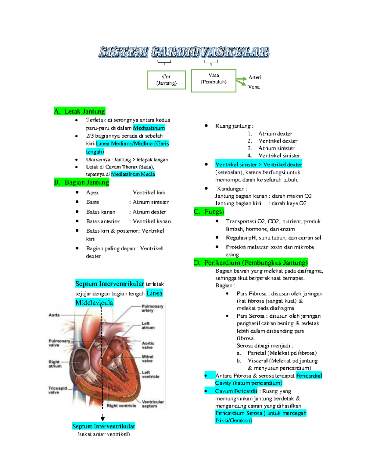 Sistem Cardiovaskular - Arteri Vena A. Letak Jantung Terletak di ...