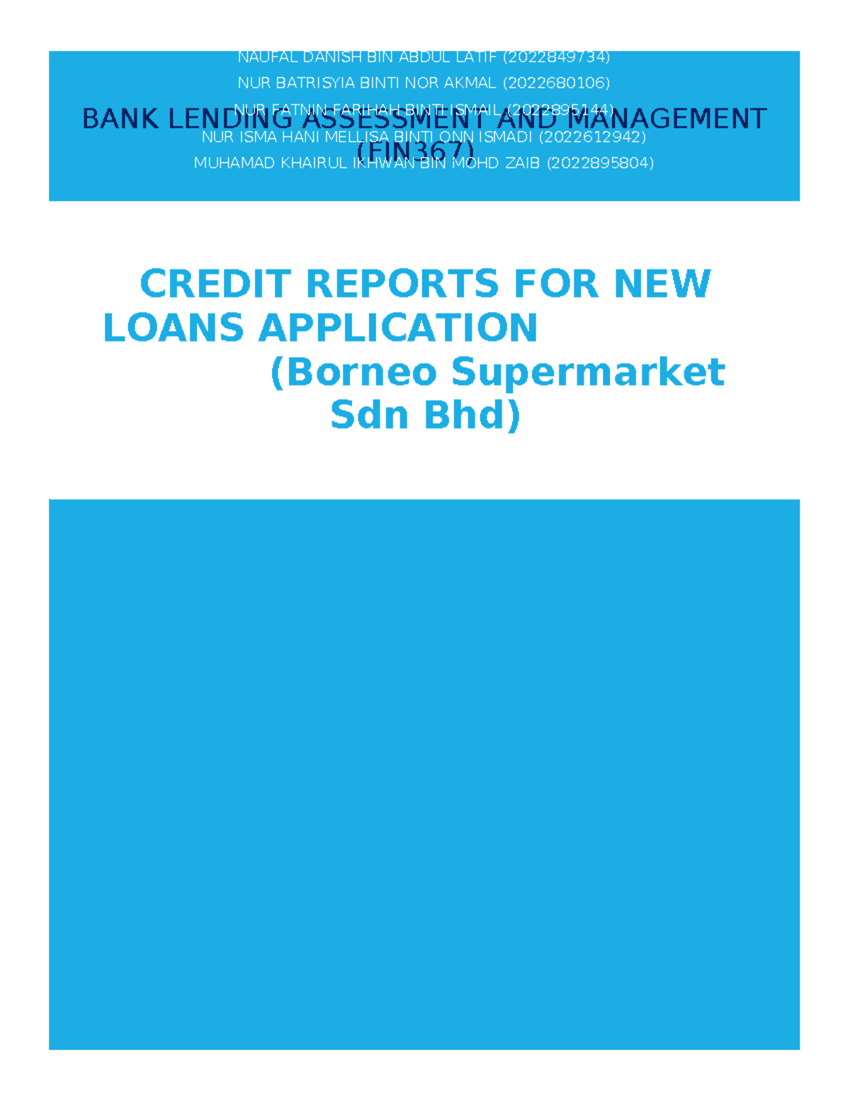 FIN367 Case Study Template & Rubric - BANK LENDING ASSESSMENT AND ...