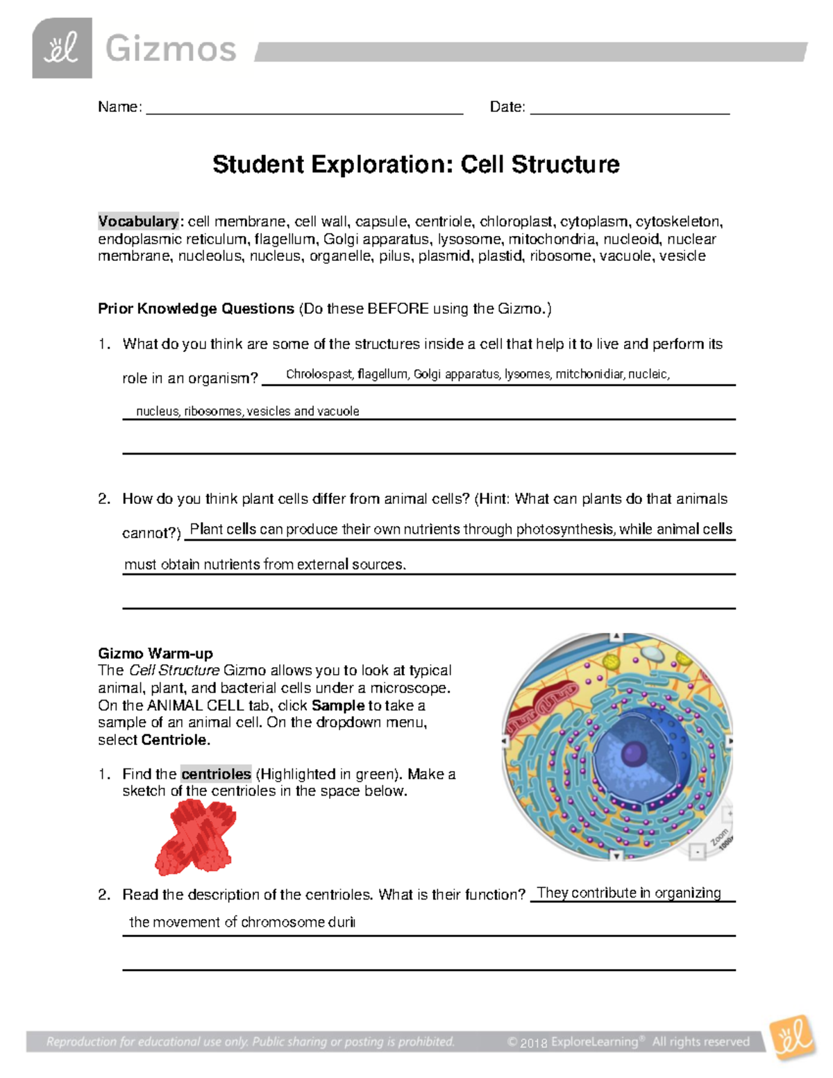 Exploration of Cell Structure: Vocabulary & Functions in Biology - Studocu