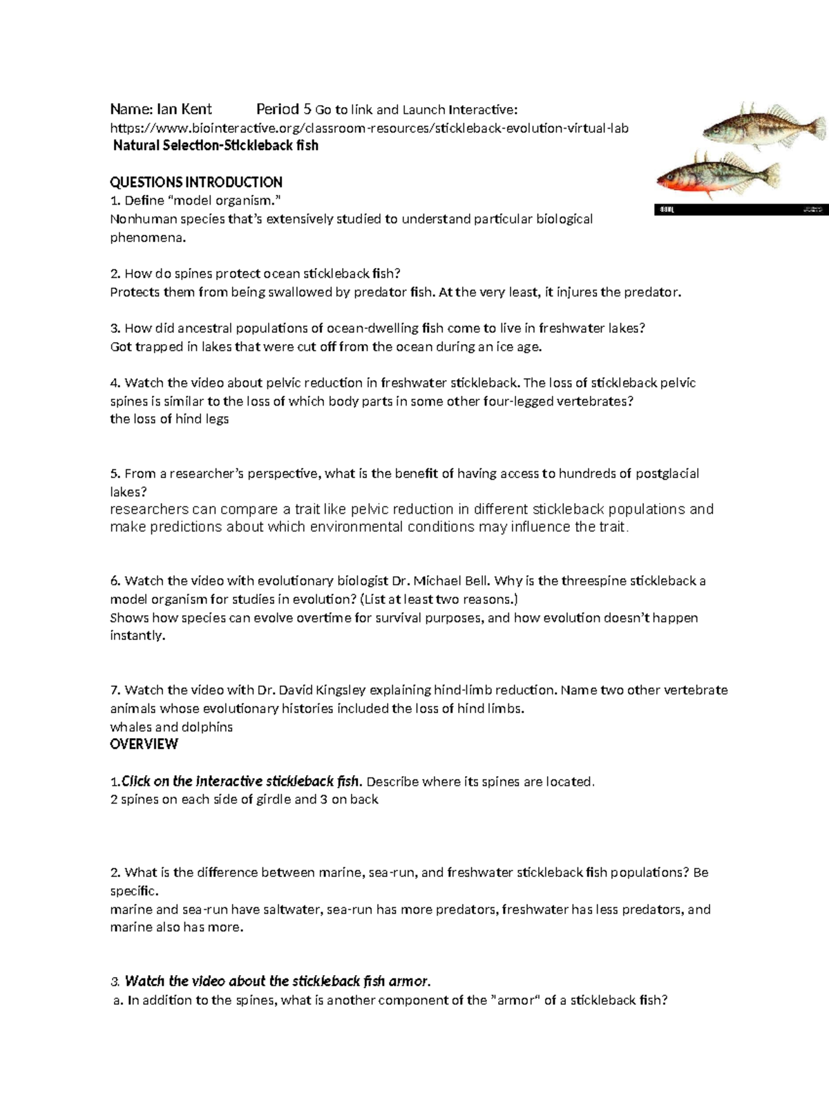 Stickleback Fish Study: Evolutionary Adaptations & Experiments (BIO 101 ...