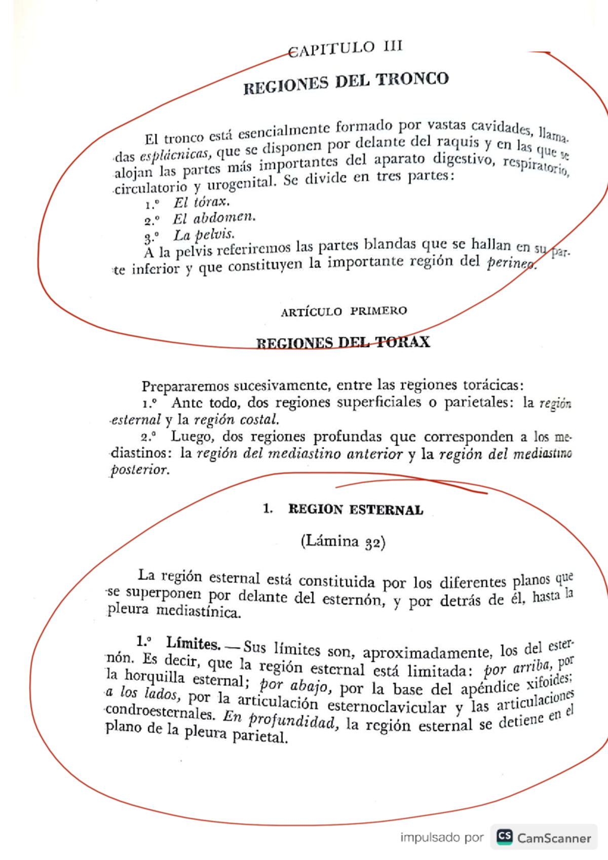 CAPITULO REGIONES DEL TRONCO: Estudio de la Región Esternal y Costal ...