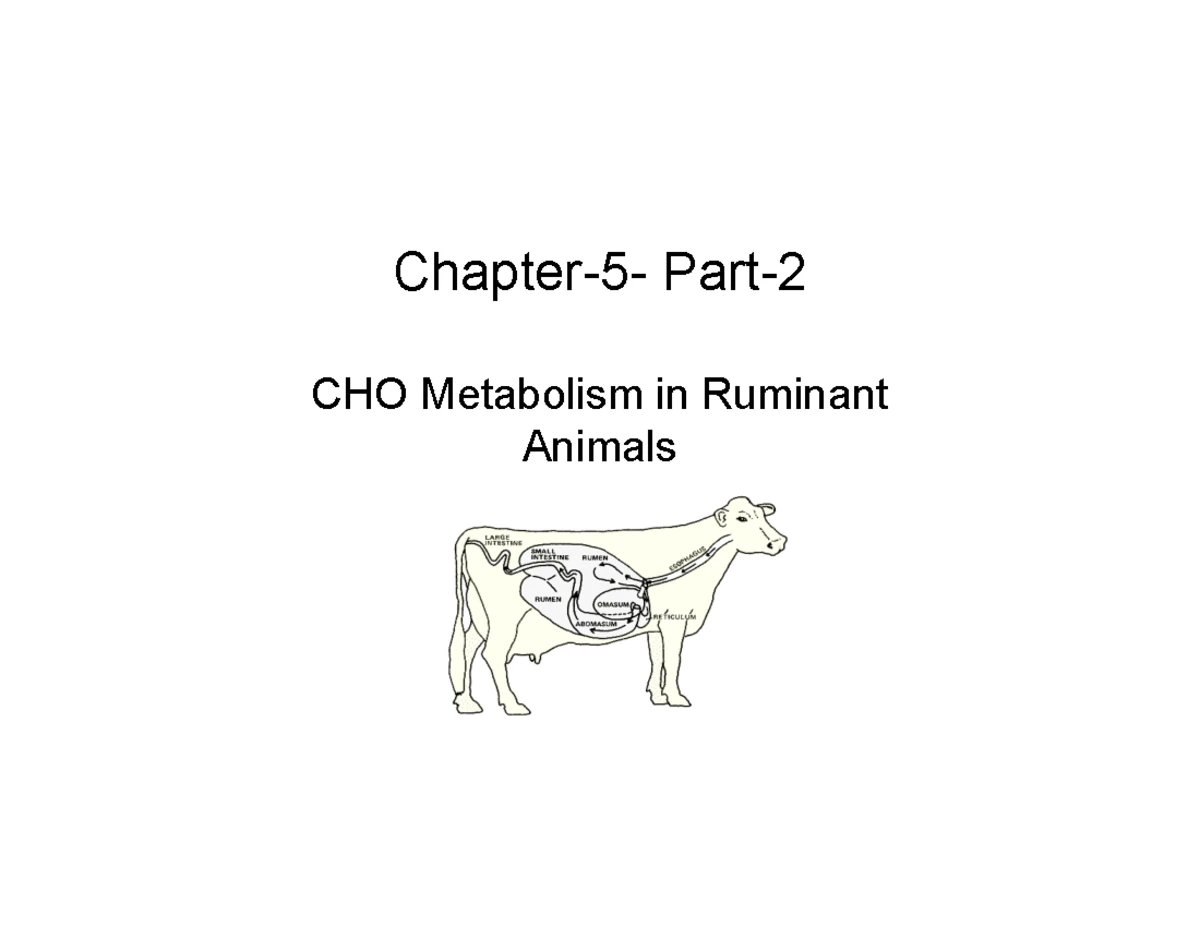 Ans 415 - CHO Metabolism in Ruminants: VFA Production & Pathways - Studocu