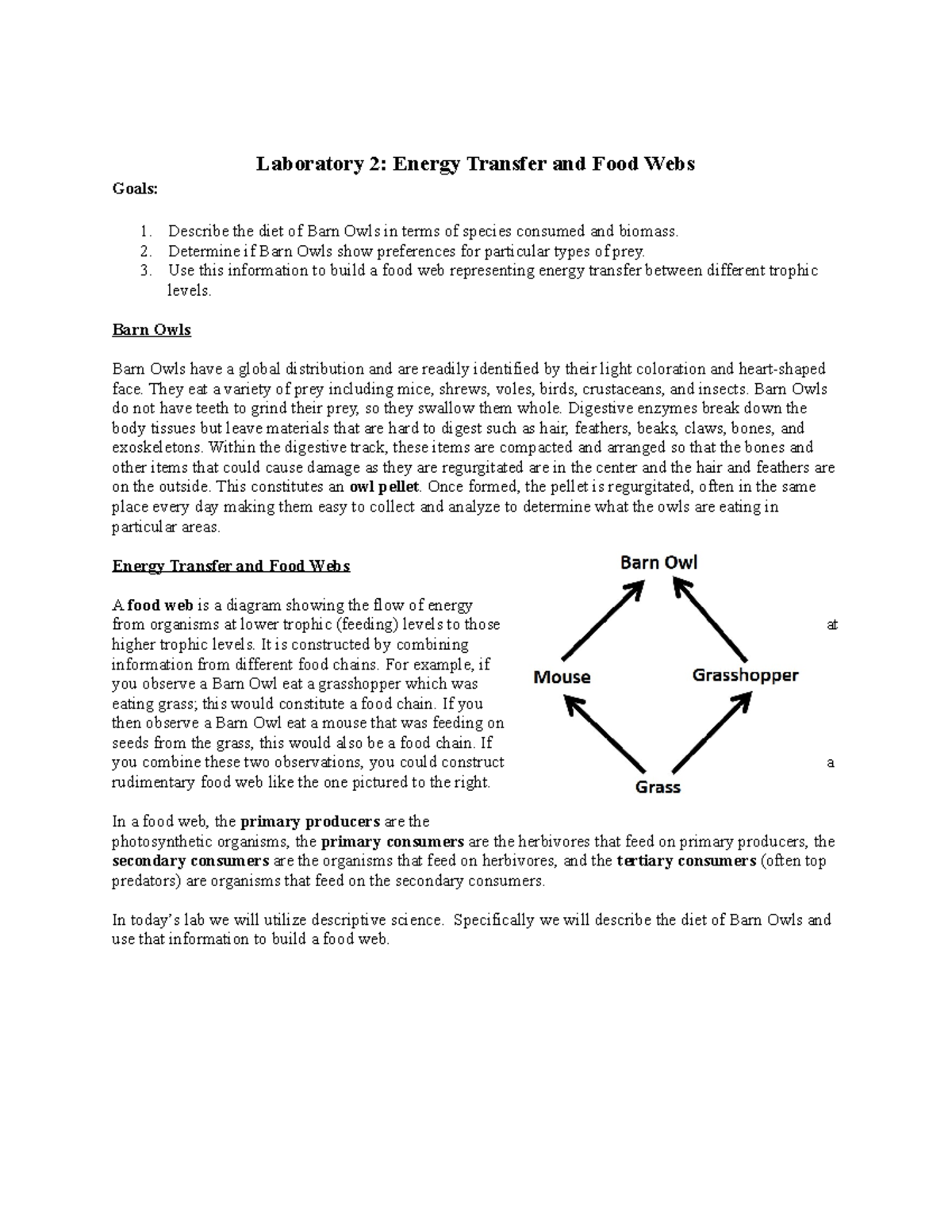 02 BIOL 120 Lab Manual: Analyzing Owl Pellet Diet & Food Webs - Studocu