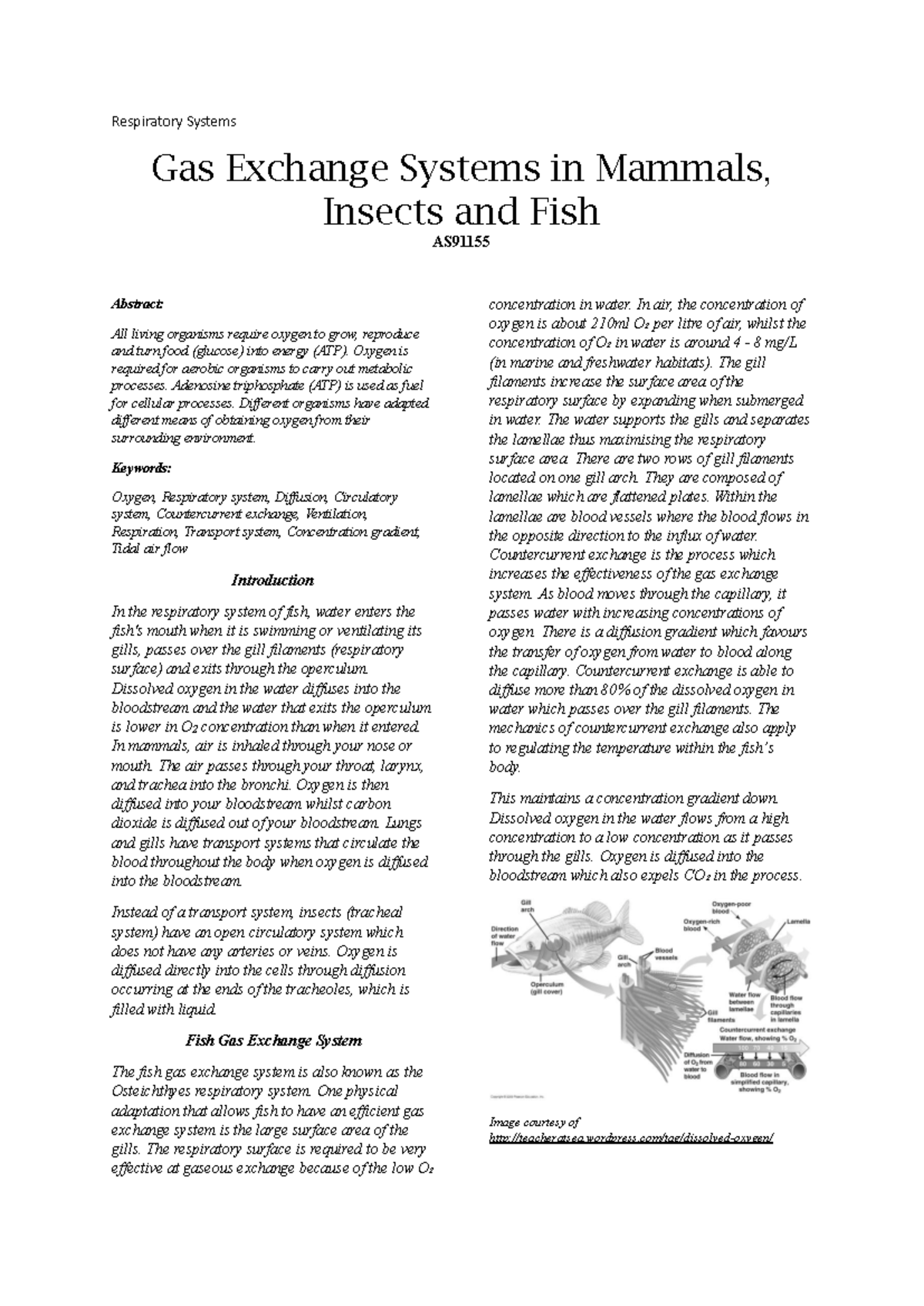 Gas Exchange Systems in Mammals, Insects, and Fish - AS91155 - Studocu