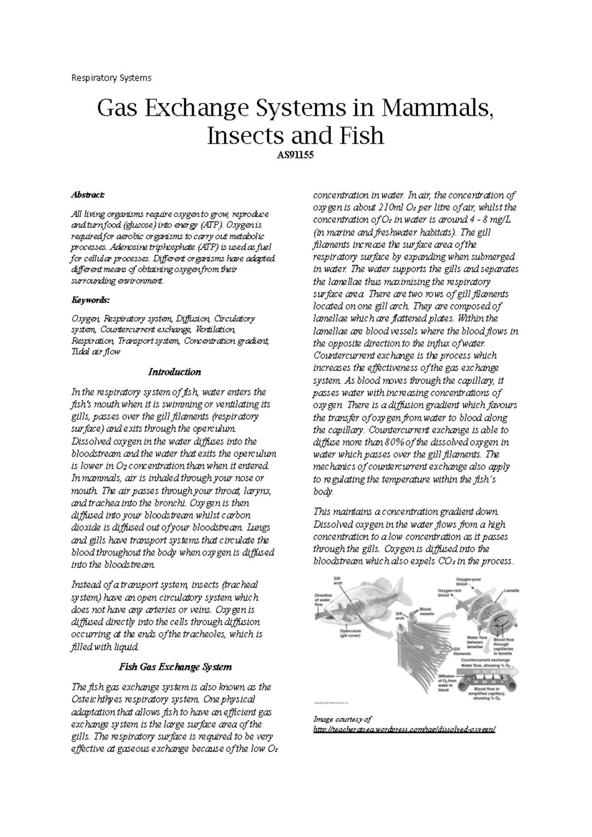 Biology 101: Gas Exchange Mechanisms in Locusts and Snappers - Studocu