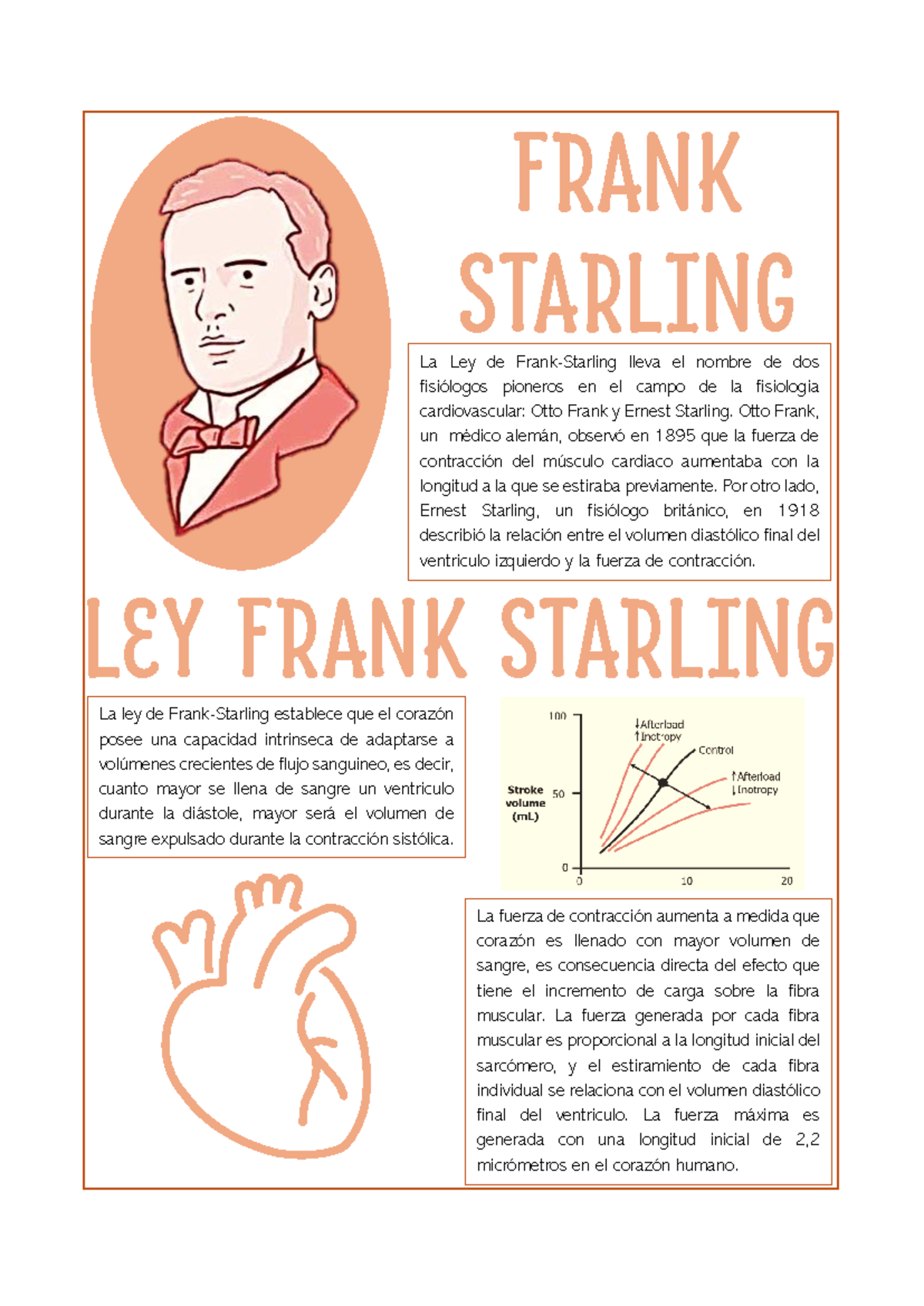 Ley de Frank-Starling: Adaptación Cardíaca y Constricción Muscular ...