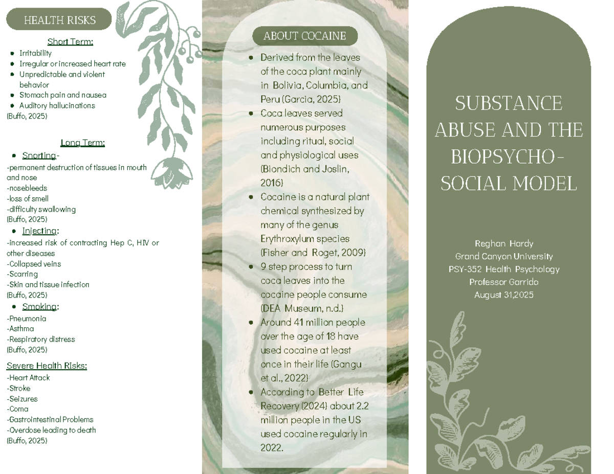 Substance Use and Health Risks: A Biopsychosocial Perspective - Studocu