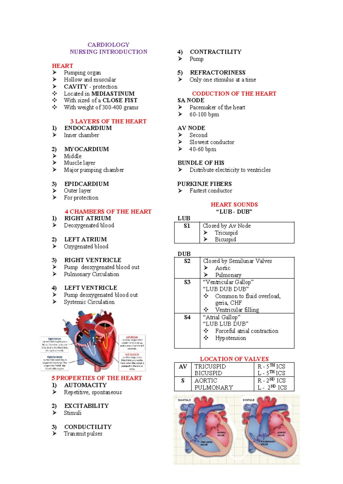 "Essential Medical Terms for RLE: Understanding IV Access and Care ...