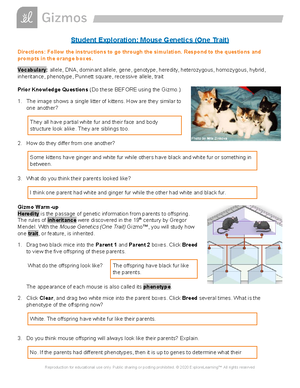 Lab Mouse Genetics (Two Traits) Assignment Lab Report - Hypothesis: If ...