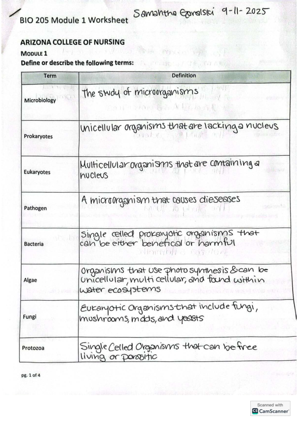 BIO 205 Module 1 Microbiology Worksheet and Key Concepts - Studocu