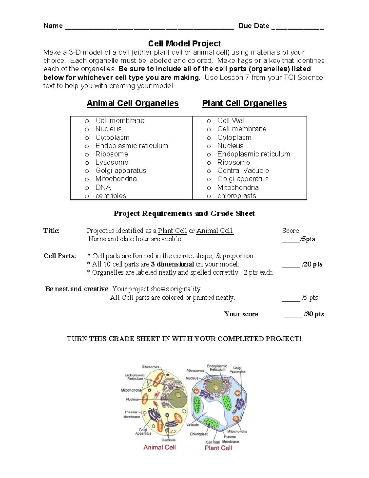 Cell Model directions - sdscvxc sadscv - Name ...