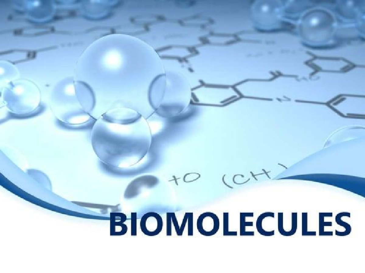 BIOMOLECULES (HO) - Levels of Organization: Carbs, Lipids, Proteins ...