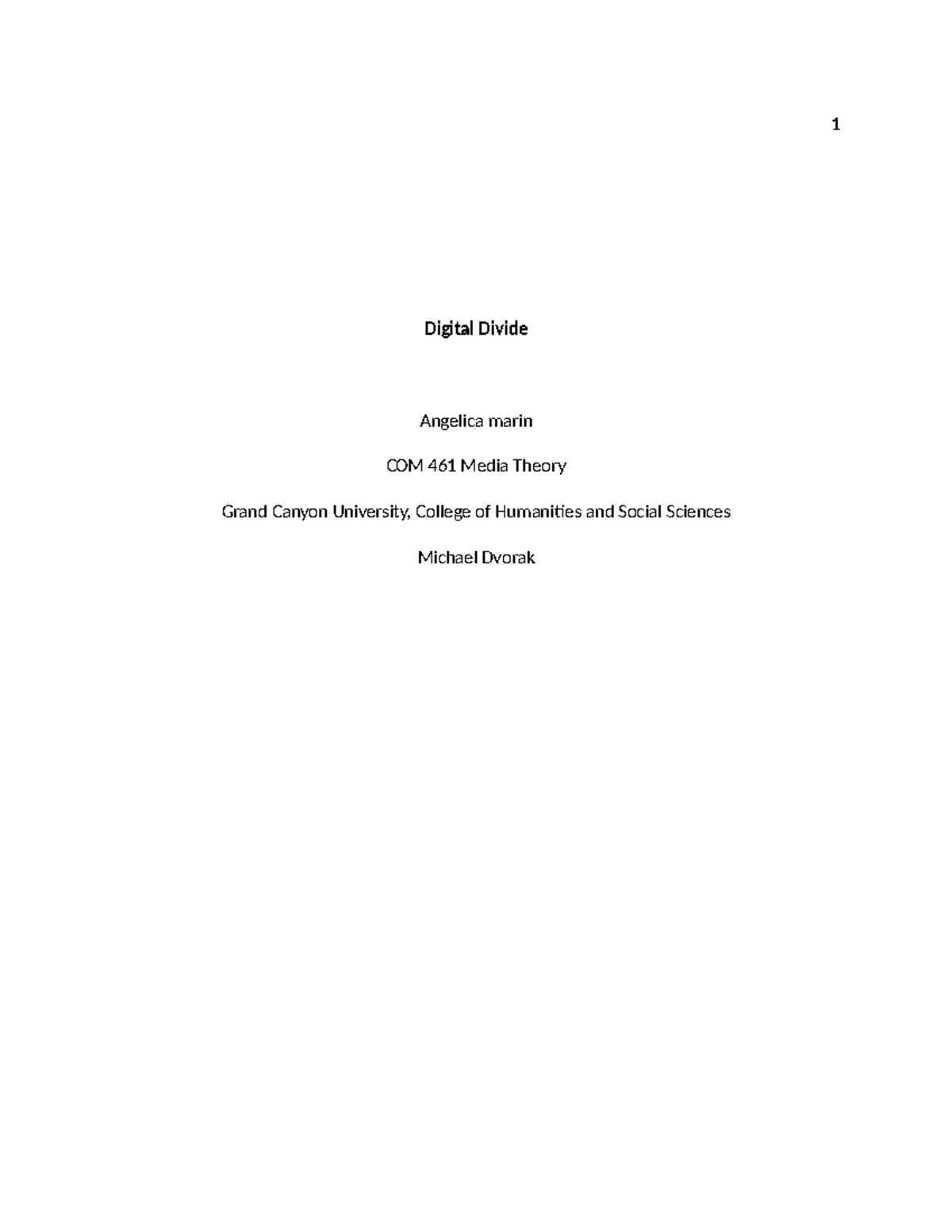 COM 461 Digital Divide: Analyzing Inequalities and Solutions in Phoenix ...