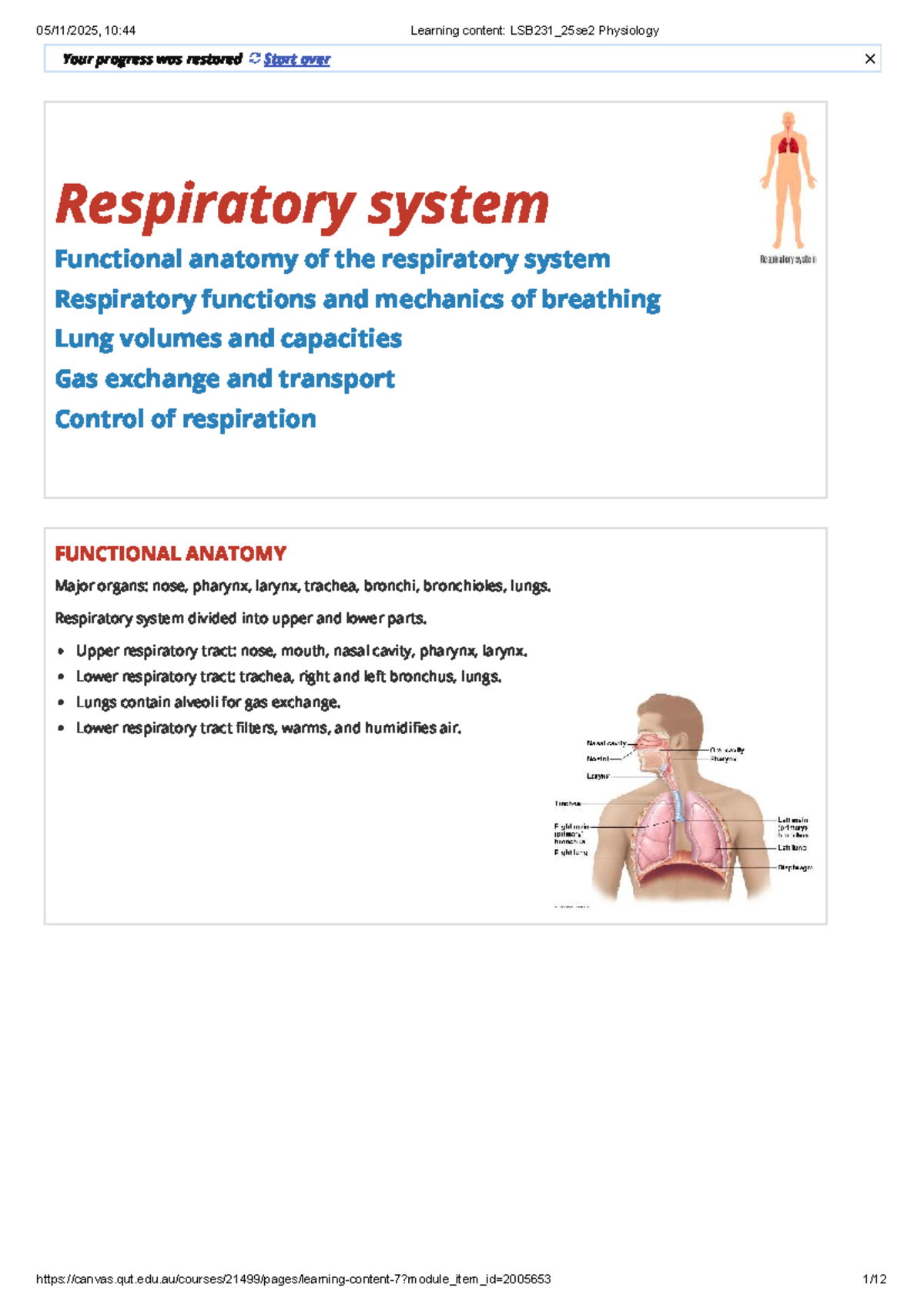 Learning Content: LSB231_25se2 Physiology - Respiratory System Overview ...