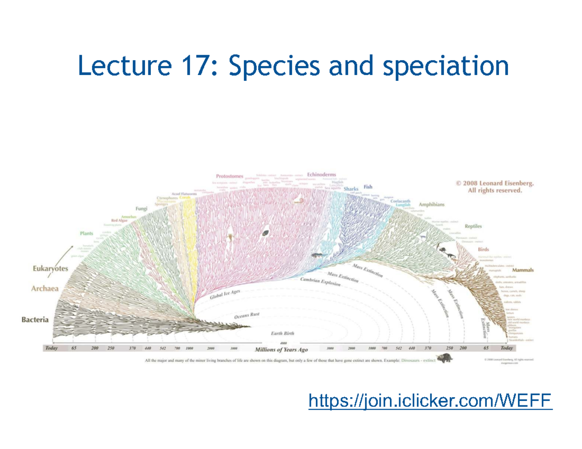 1001A Lecture 17: Species and Speciation Insights on Elephants - Studocu