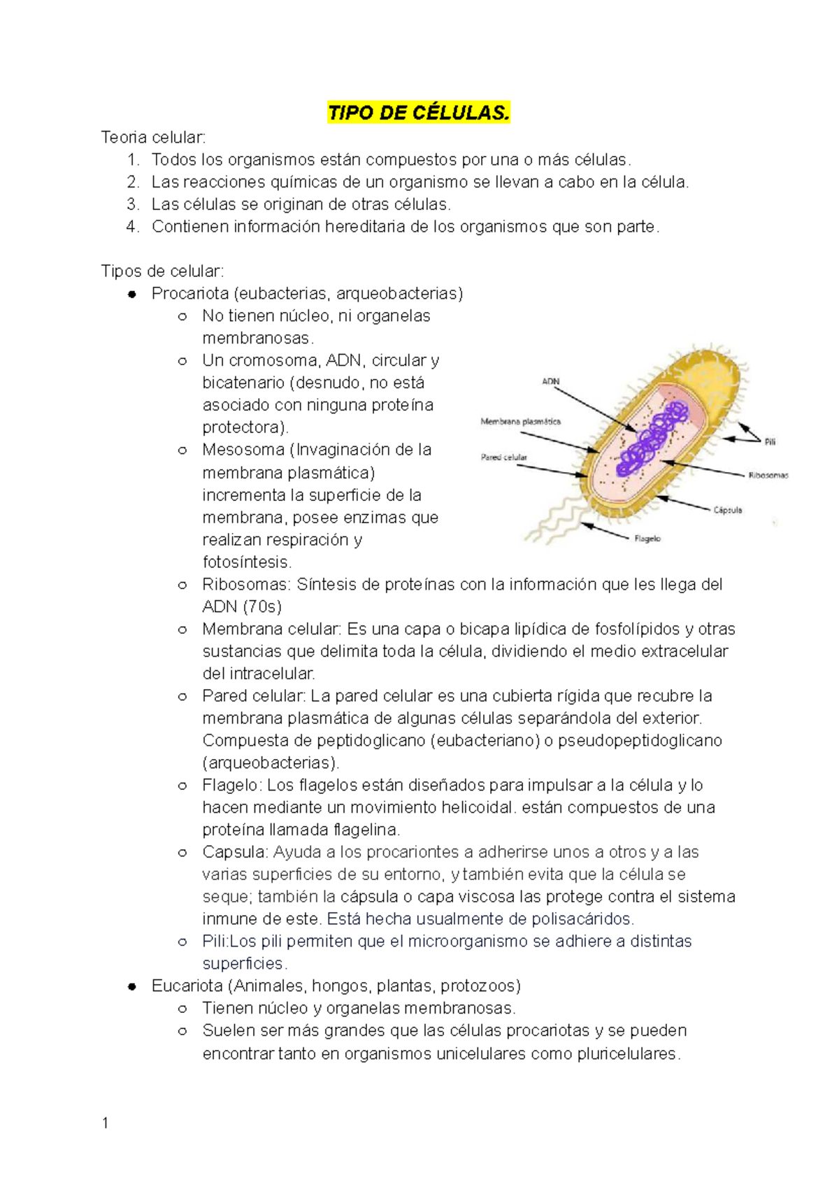 Resumen de Tipos de Células y Procesos Celulares - Biología 101 - Studocu