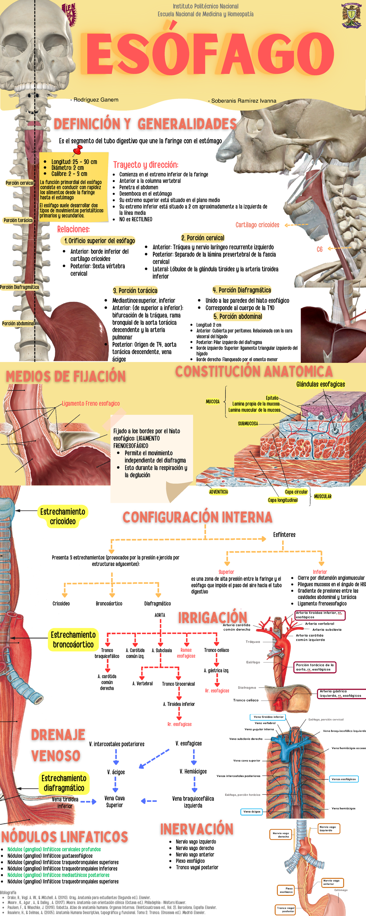 Esofa - ESÓFAGO Instituto Politécnico Nacional Escuela Nacional de ...