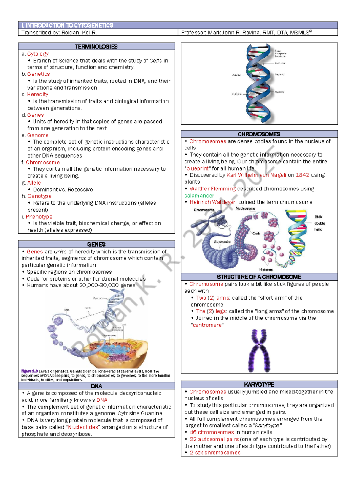 Introduction to Cytogenetics: Key Concepts and Terminologies - Studocu