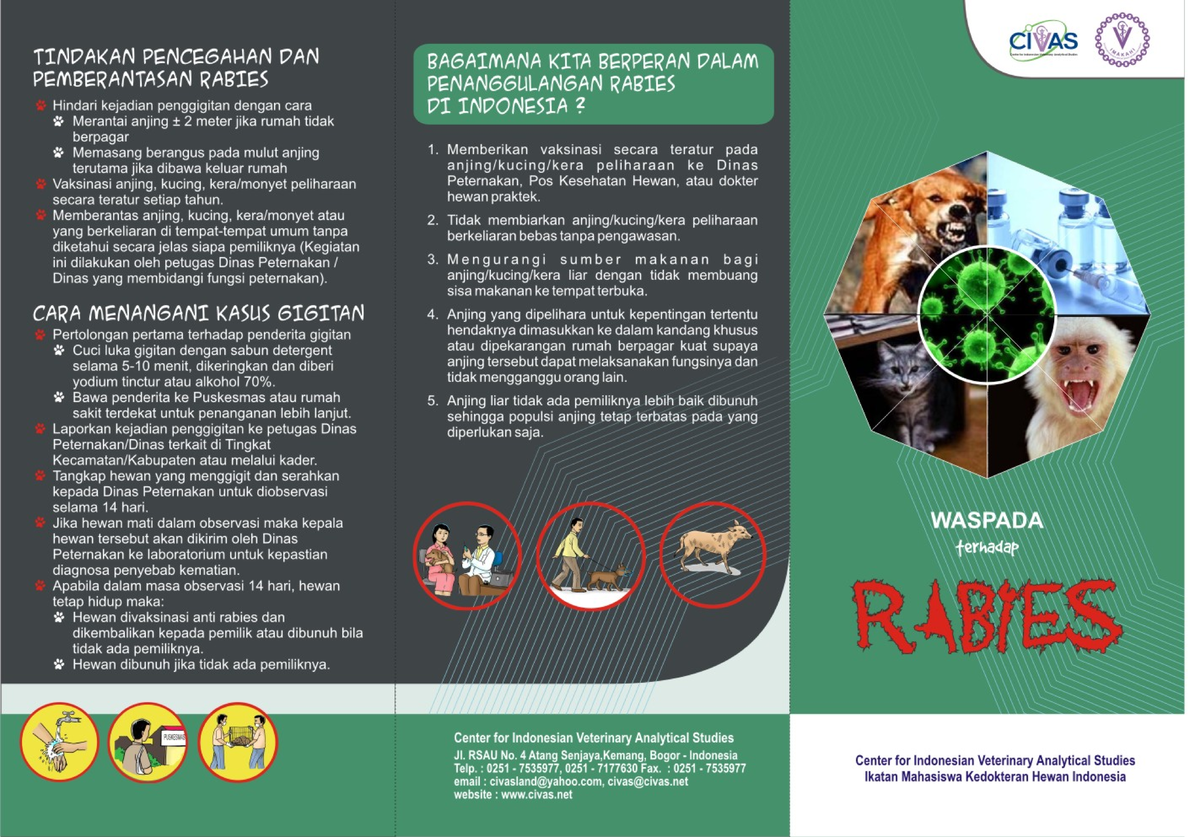 Leaflet Tindakan Pencegahan Rabies di Indonesia - Imakahi - Studocu