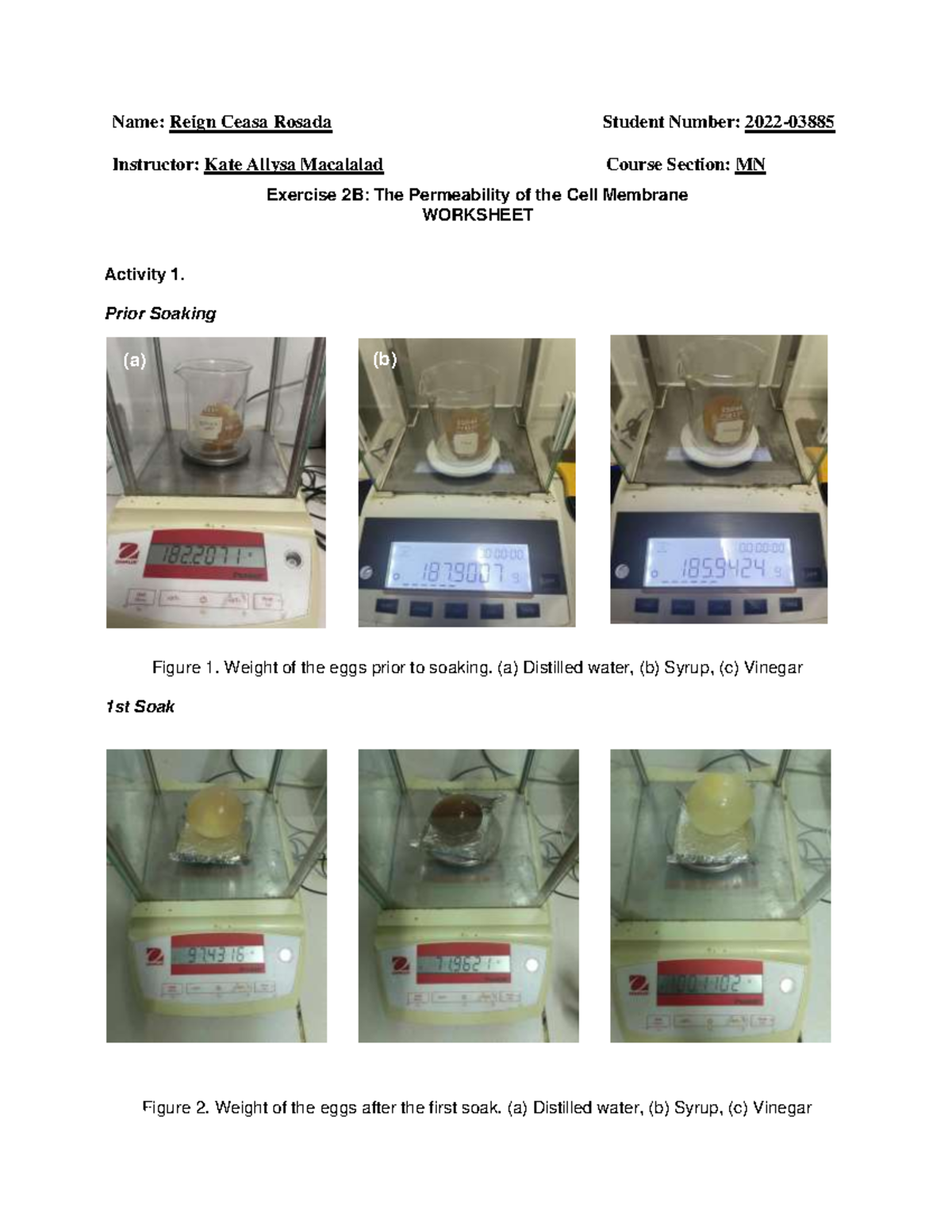 Lab Report: Egg Osmosis and Tonicity - Zoo 120 Animal Physiology - Studocu