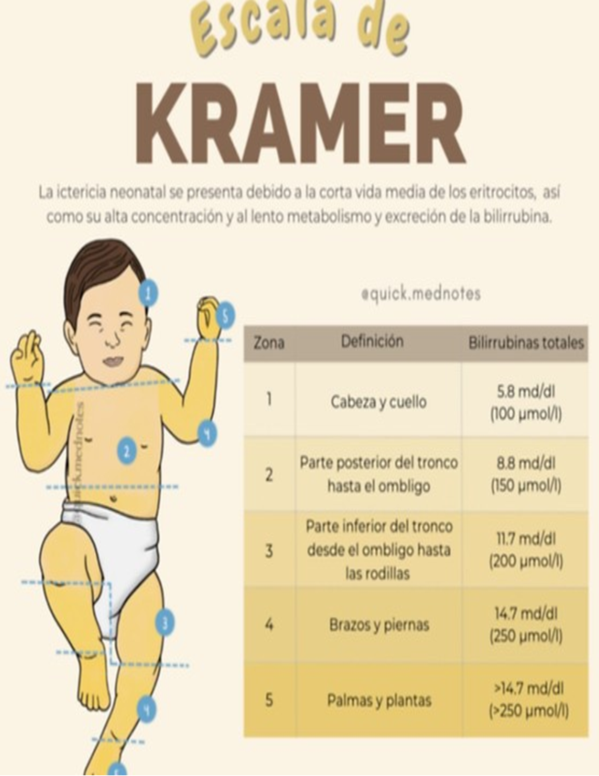 Escala de Kramer: Análisis y Aplicaciones en Investigación - Studocu