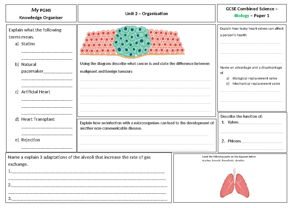 GCSE Combined Science - Biology Unit 2: Organisation Study Guide - Studocu