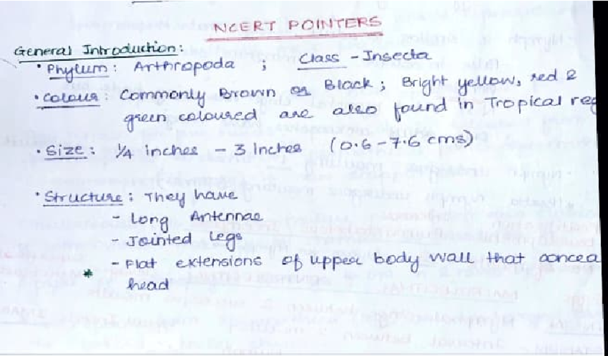 NCERT Notes on Cockroaches: Structures, Morphology, and More - Studocu