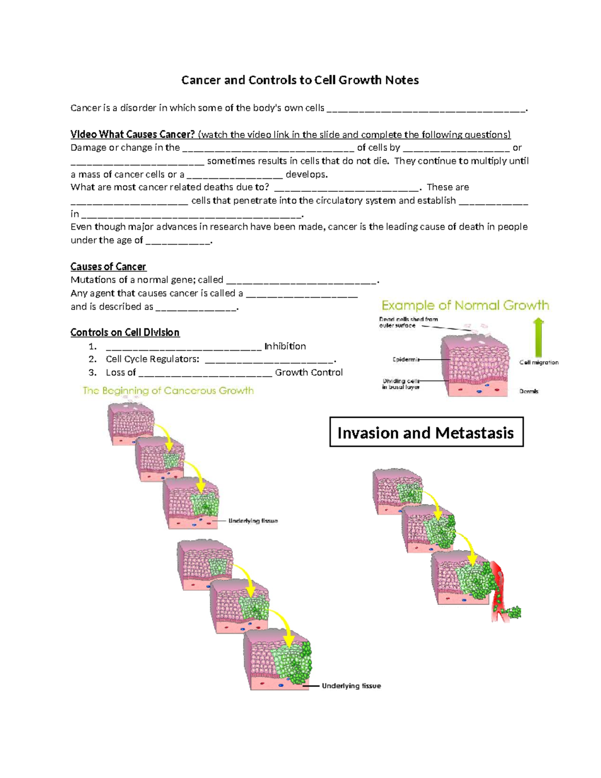 Cancer and Cell Growth Control Notes (FIB) - Studocu