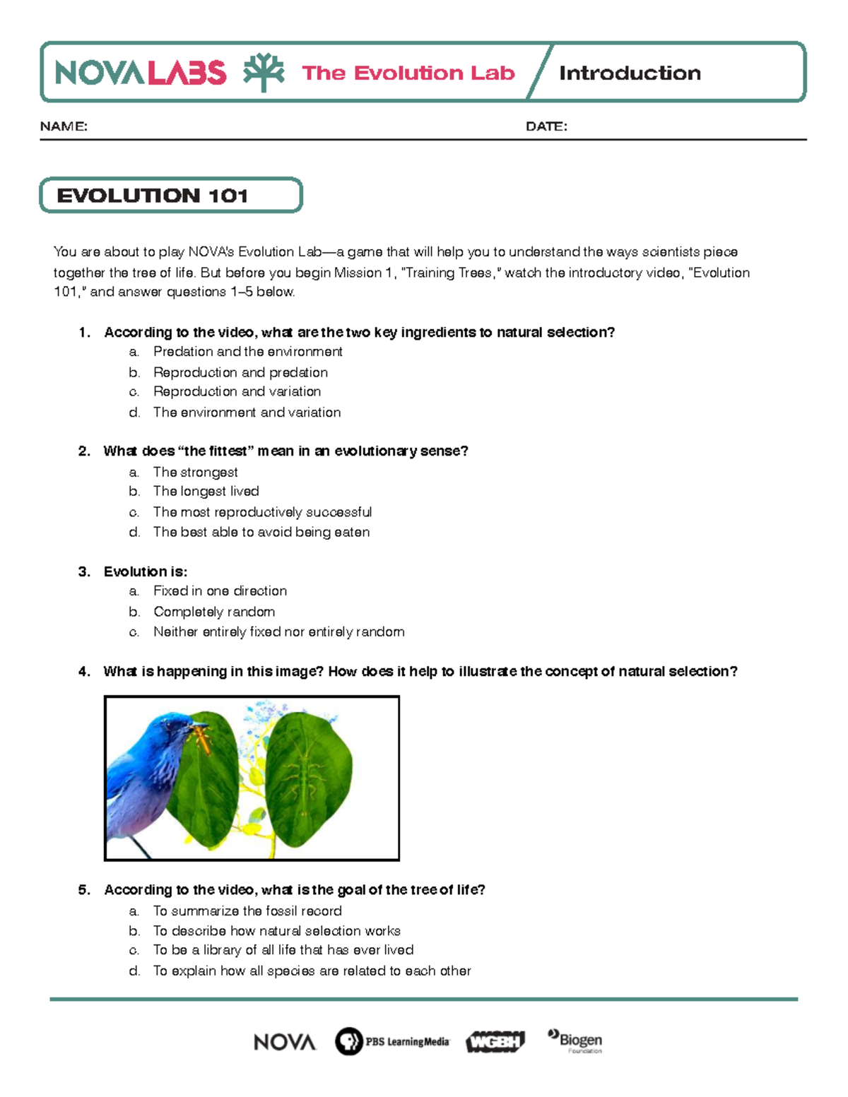 NOVA Evolution Lab Worksheets EVOLUTION 101: MISSION 1-5 Guide - Studocu