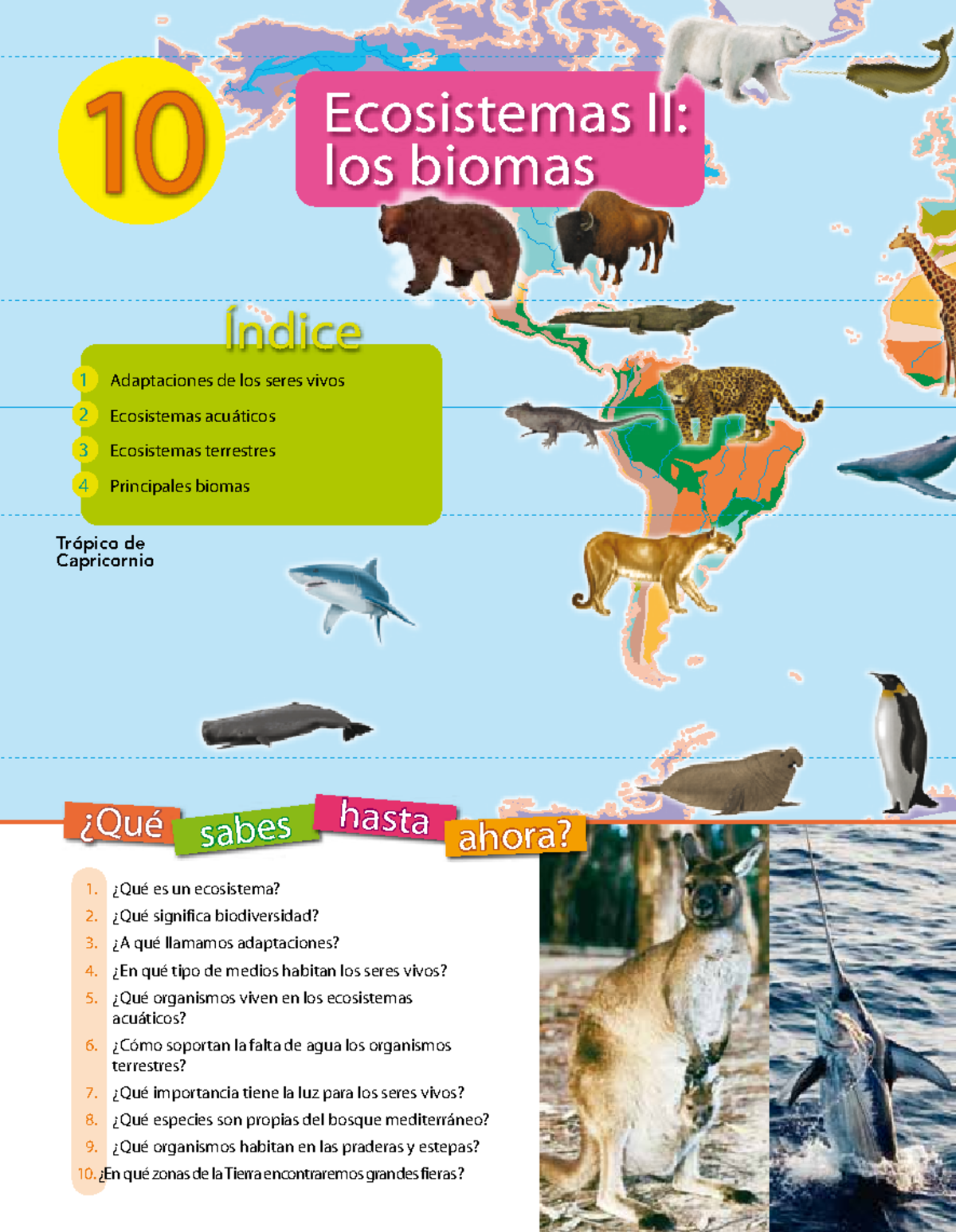 Diagrama De Biomas Aquaticos Biomas | PPT