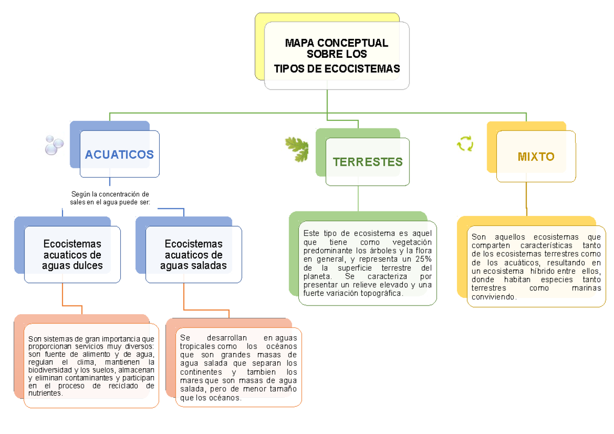 Hoja De Trabajo Con Mapa Conceptual De Ecosistemas Los Ecosistemas