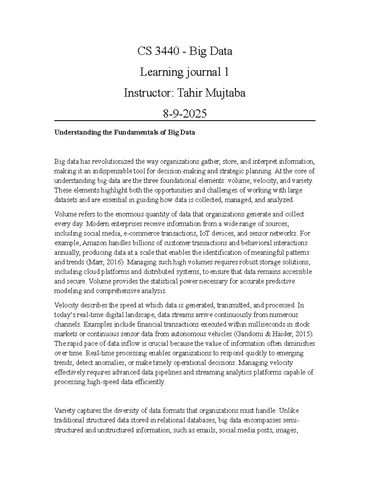 CS 3440 Big Data Learning Journal 1: Core Elements & Quality Insights ...