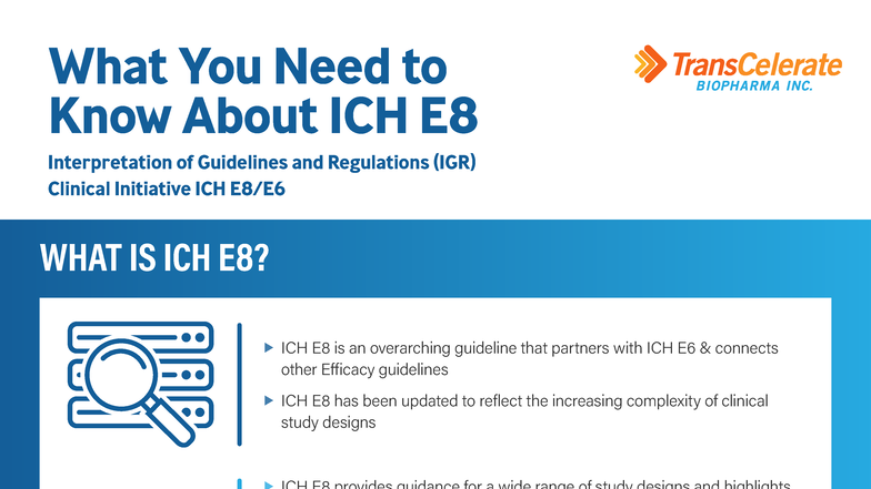 ICH E8 Guidelines Overview: Key Components & Clinical Study Insights ...