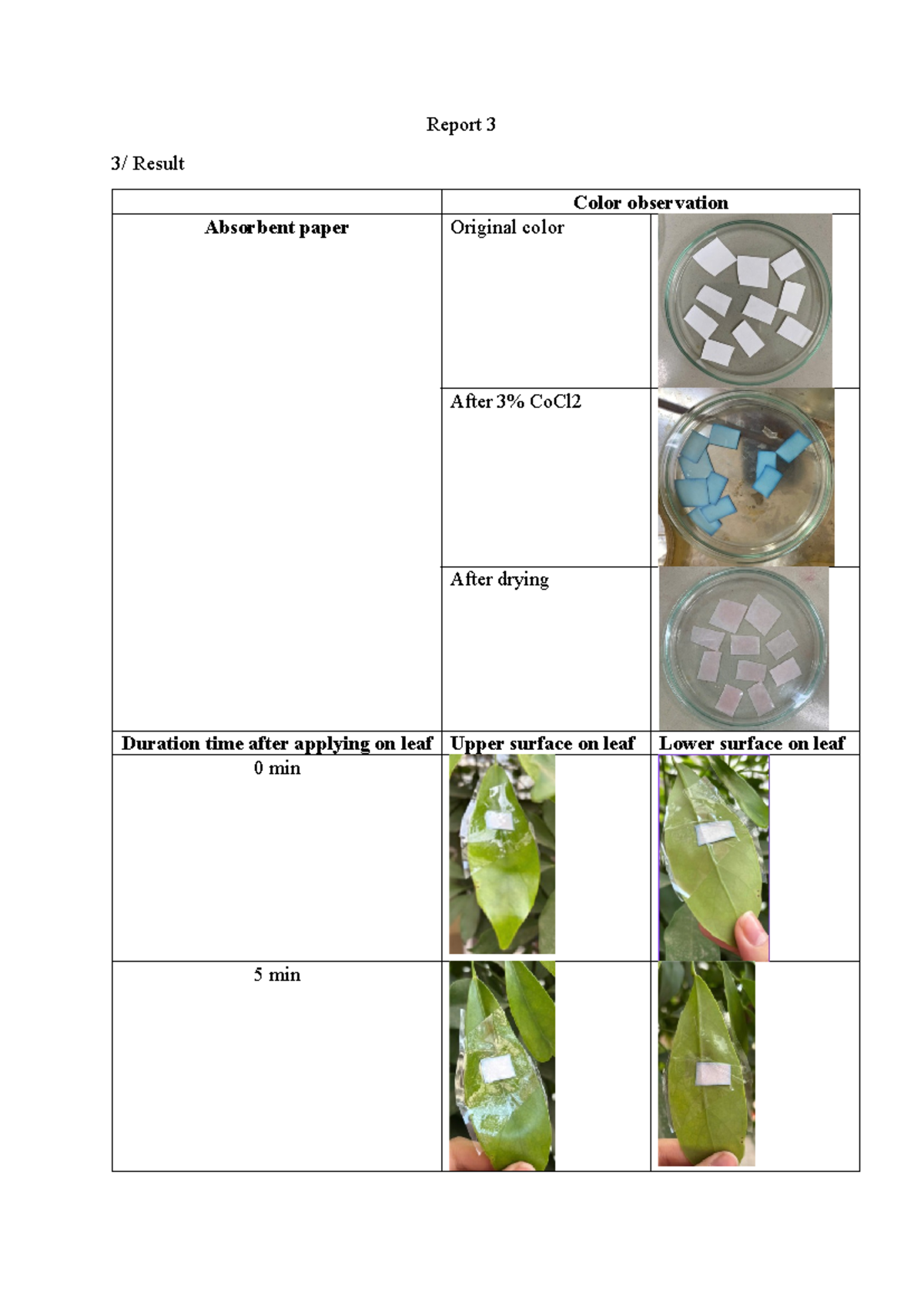 Report 3: Color Observation & Transpiration Analysis - Studocu
