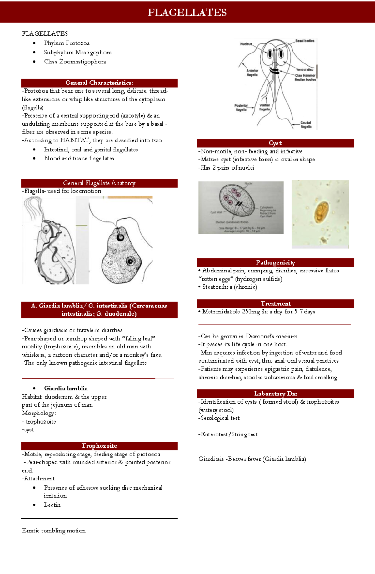 SF Flagellates: Characteristics, Habitat, and Pathogenicity of Protozoa ...