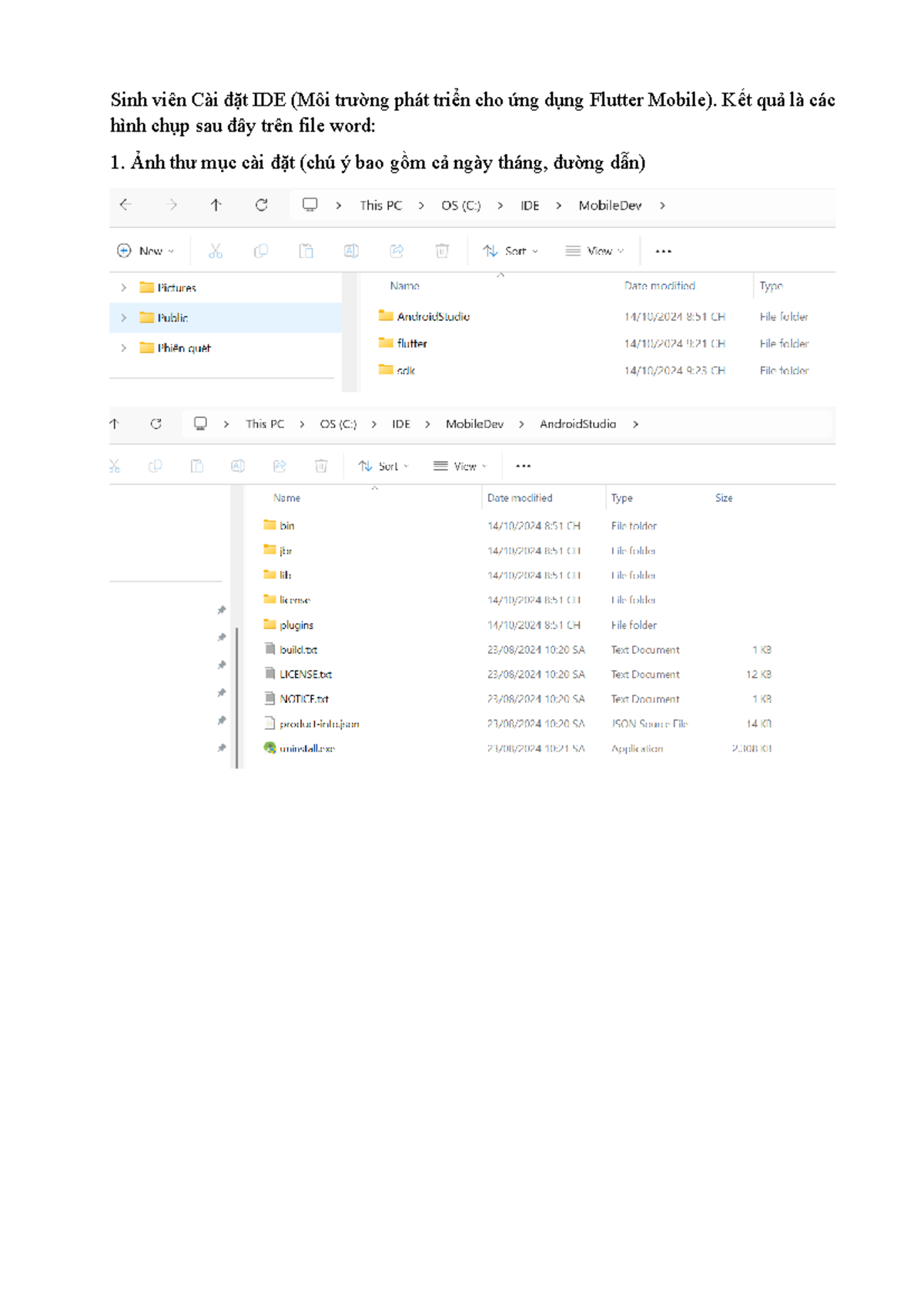 Bai Tap Cai Dat IDE - hghg - Kỹ thuật lập trình - Sinh viên Cài đặt IDE ...