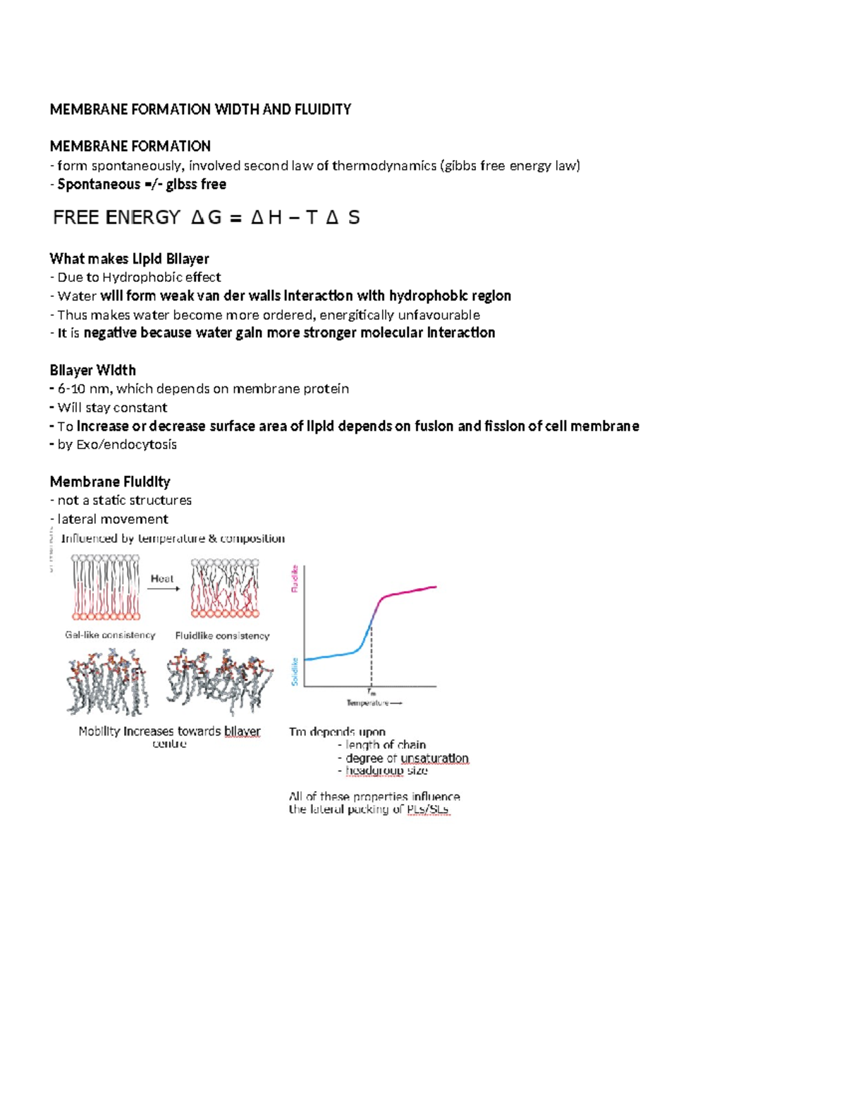 Membrane Formation, Width, AND Fluidity - MEMBRANE FORMATION WIDTH AND ...