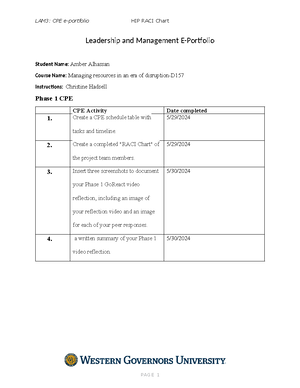 LAM3: CPE HIP RACI Chart for Healthcare Improvement Project Team - Studocu