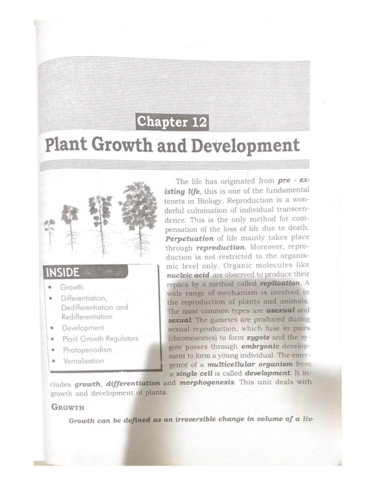 Plant growth development - Plus two biology - Studocu