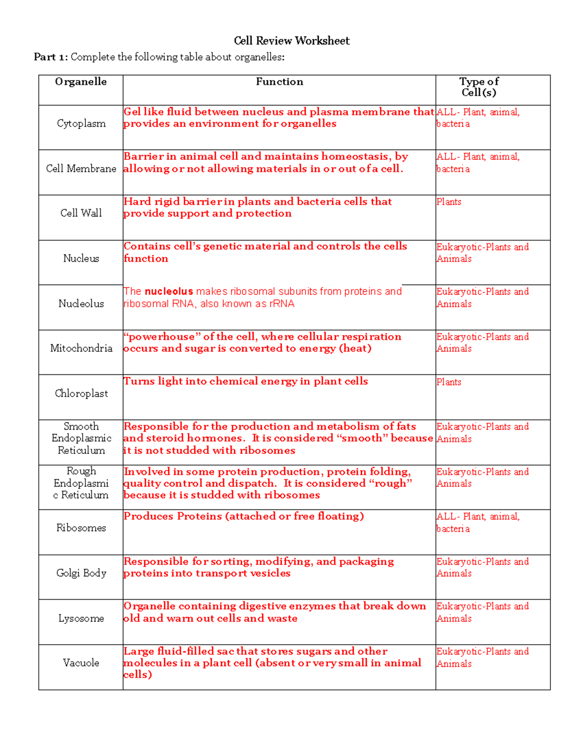 Cell Review Worksheet- Answer KEY - Cell Review Worksheet Part 1 ...