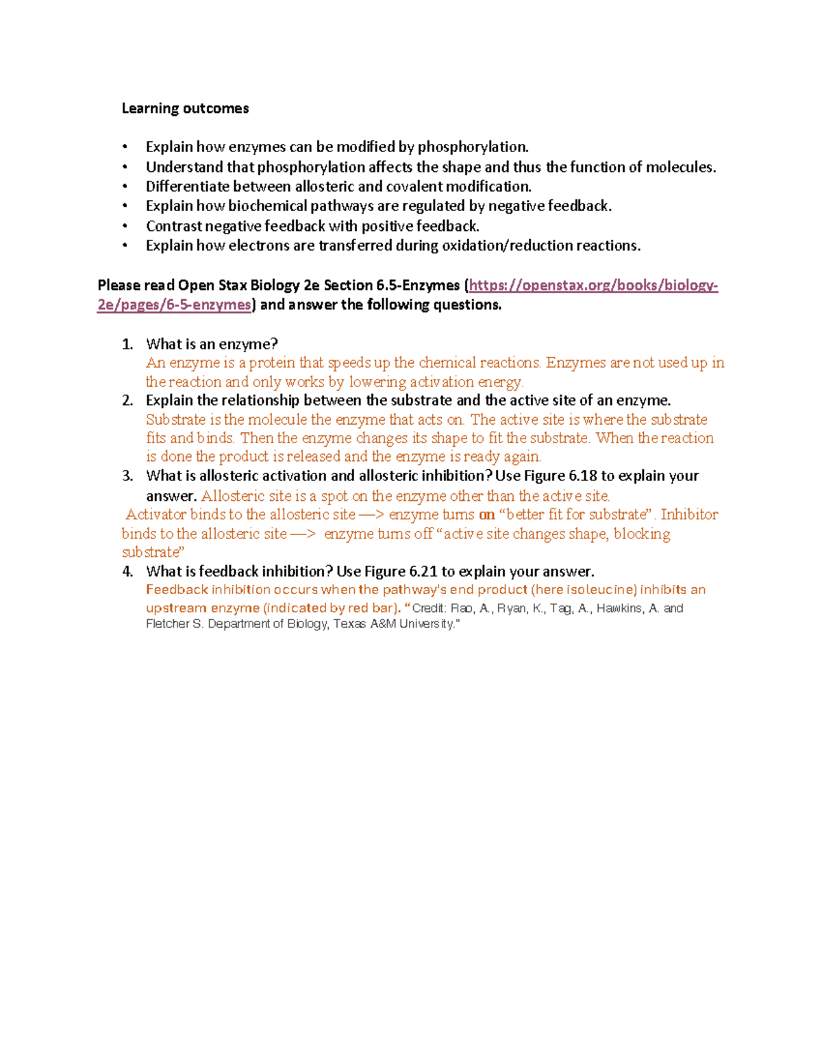 Enzyme Regulation and Bioenergetics: Learning Outcomes (BIO 2e) - Studocu